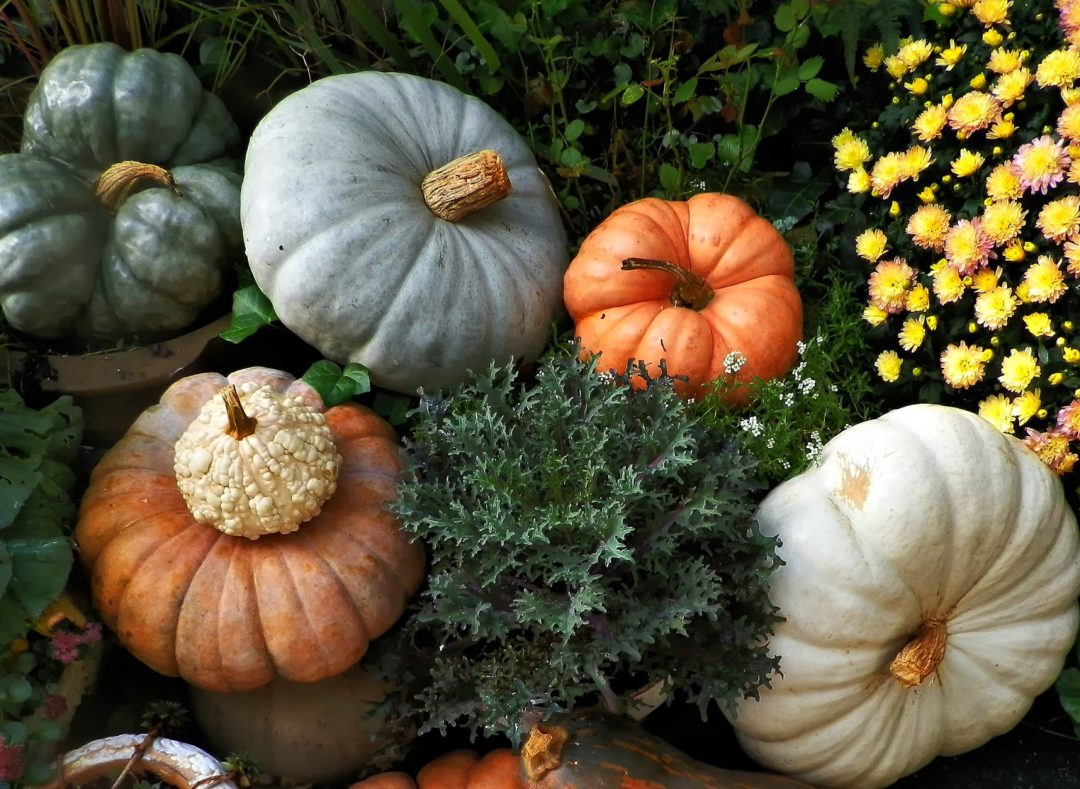 Follow The Yellow Brick Home - French Country Inspired Heirloom ...