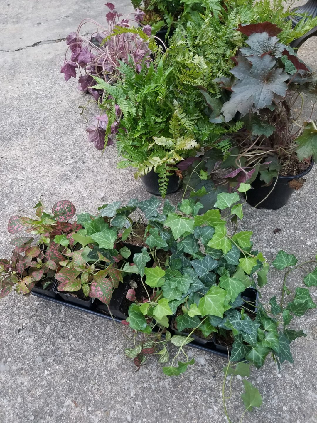 Follow The Yellow Brick Home - Planting Window Boxes with Shade Loving ...