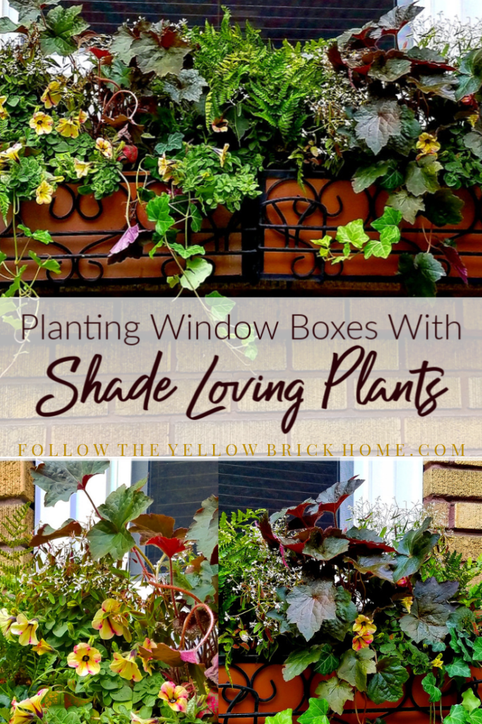 Follow The Yellow Brick Home - Planting Window Boxes with Shade Loving ...