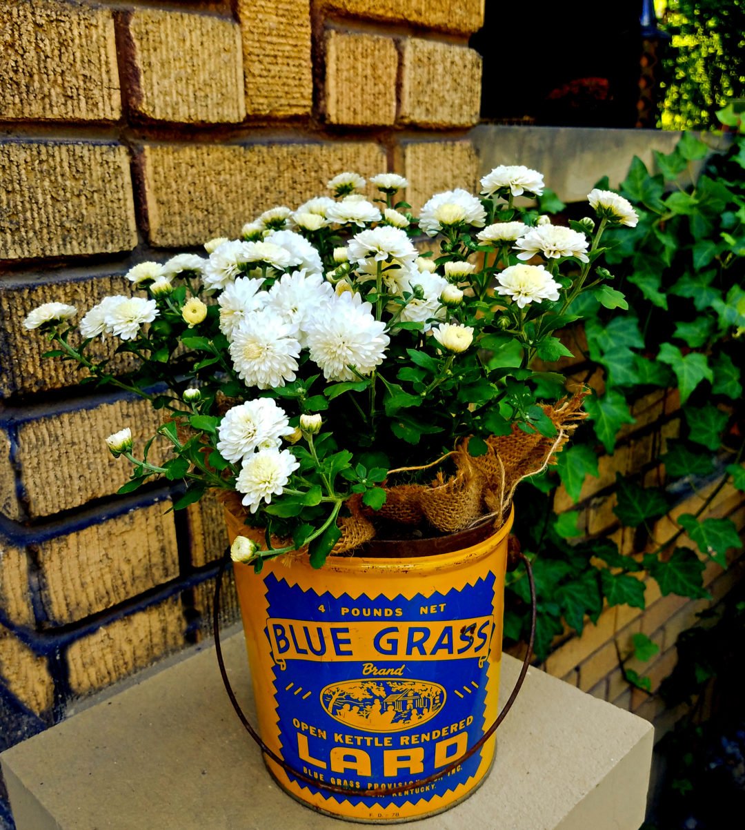 Follow The Yellow Brick Home - Embracing Fall Home Tour How To Embrace ...