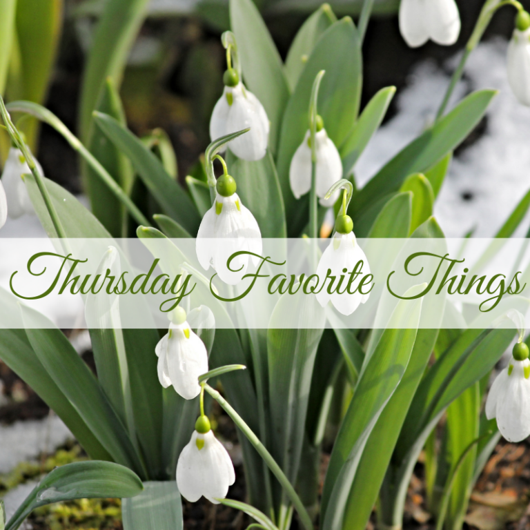 Follow The Yellow Brick Home - Beautiful Winter to Spring Decorating ...