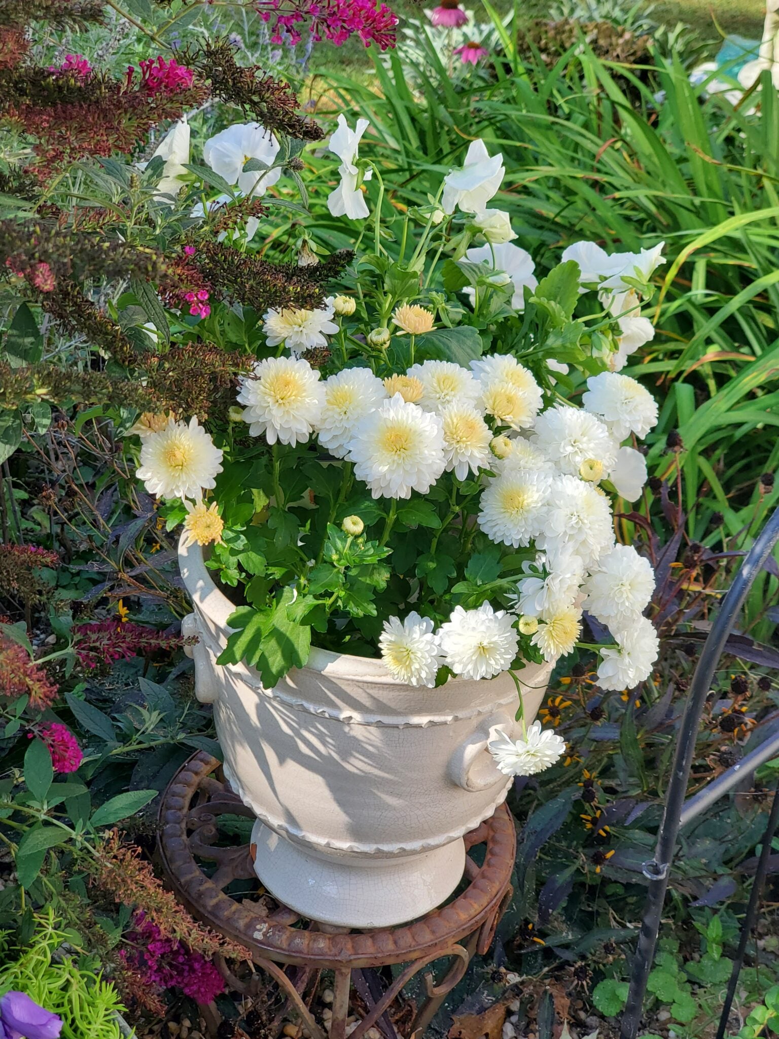 Follow The Yellow Brick Home - Enjoying Fall in the Garden – Follow The ...