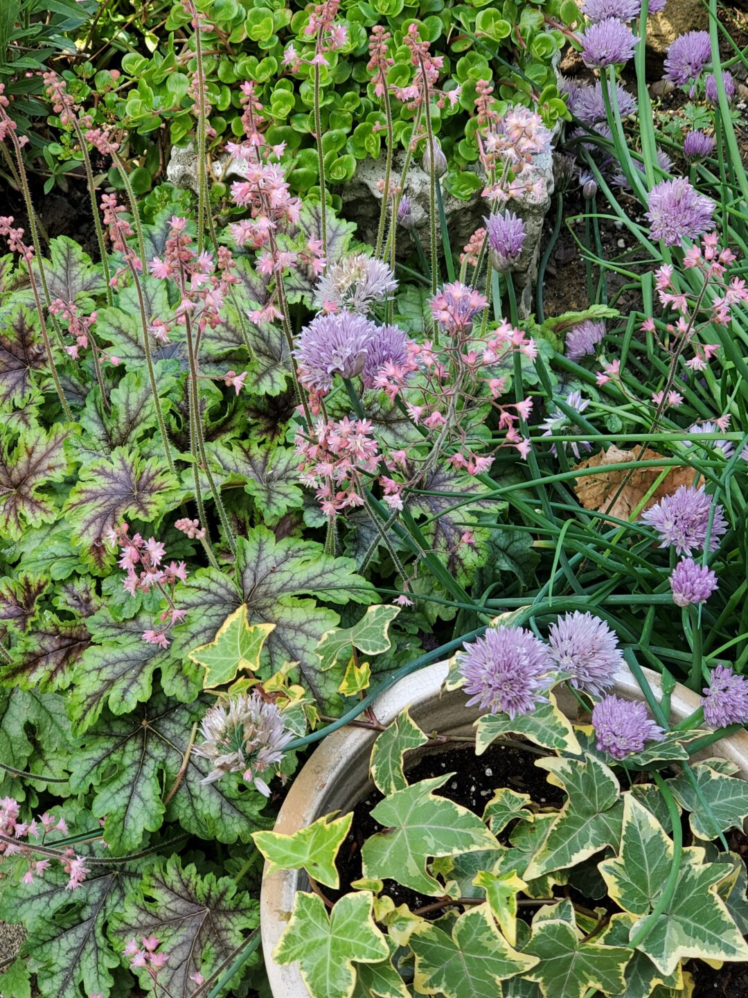 Follow The Yellow Brick Home - Pretty Spring Pink and Lavender Inspo at ...