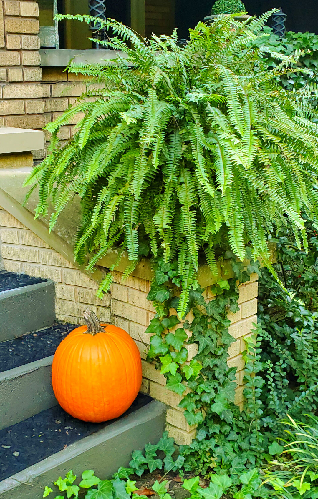 Follow The Yellow Brick Home - Late Fall Home tour with Simple Elegance ...