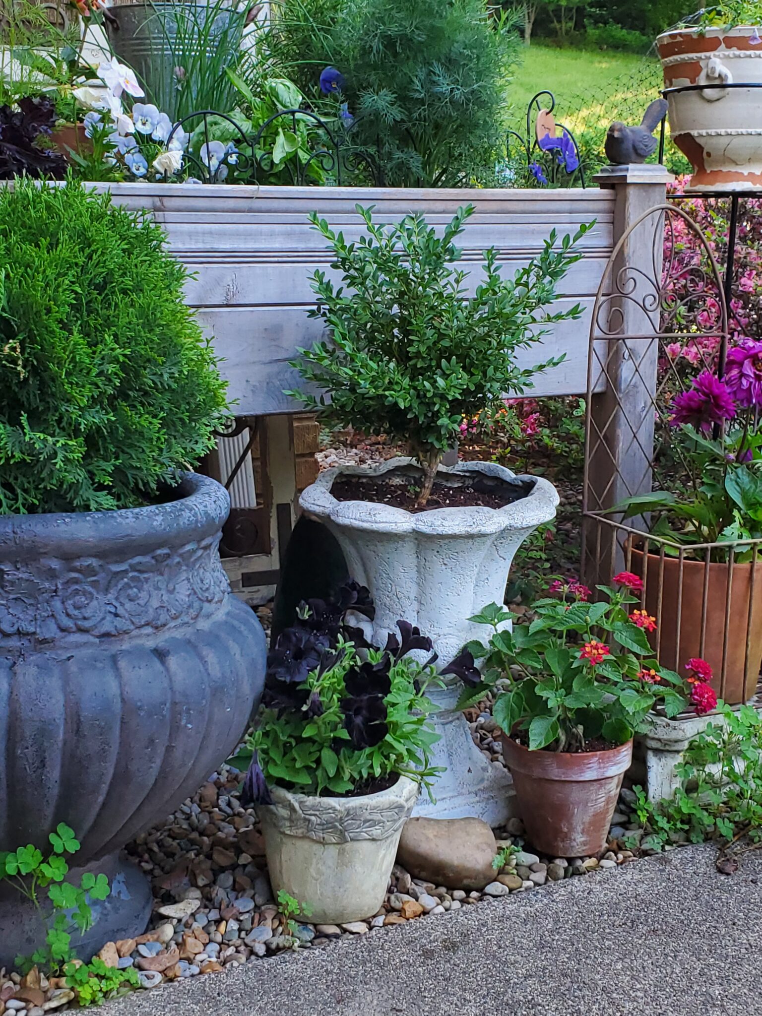 Follow The Yellow Brick Home - Beautiful Container Garden Ideas for Any ...